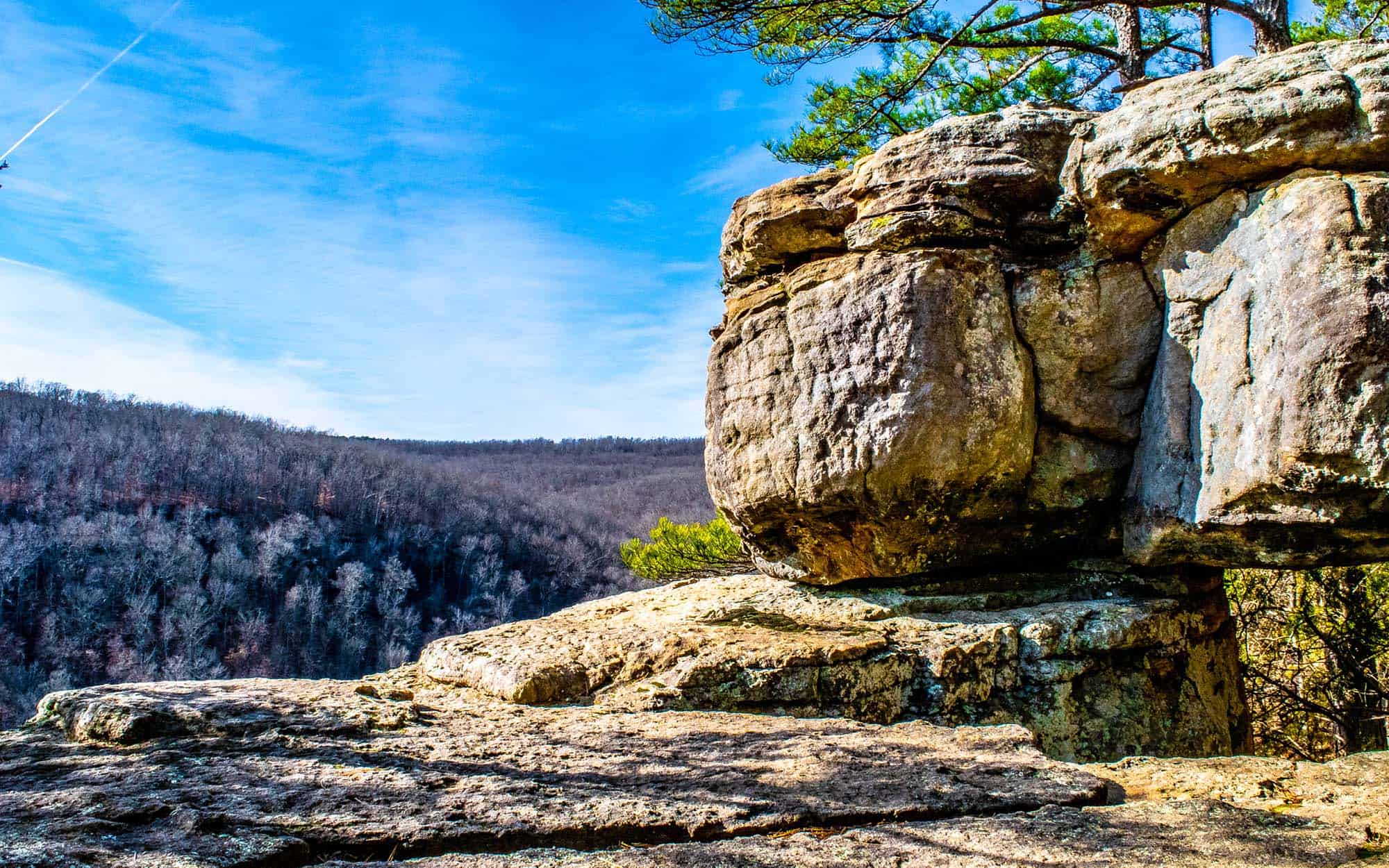 Commercial Insurance for Arkansas | McGhee Insurance