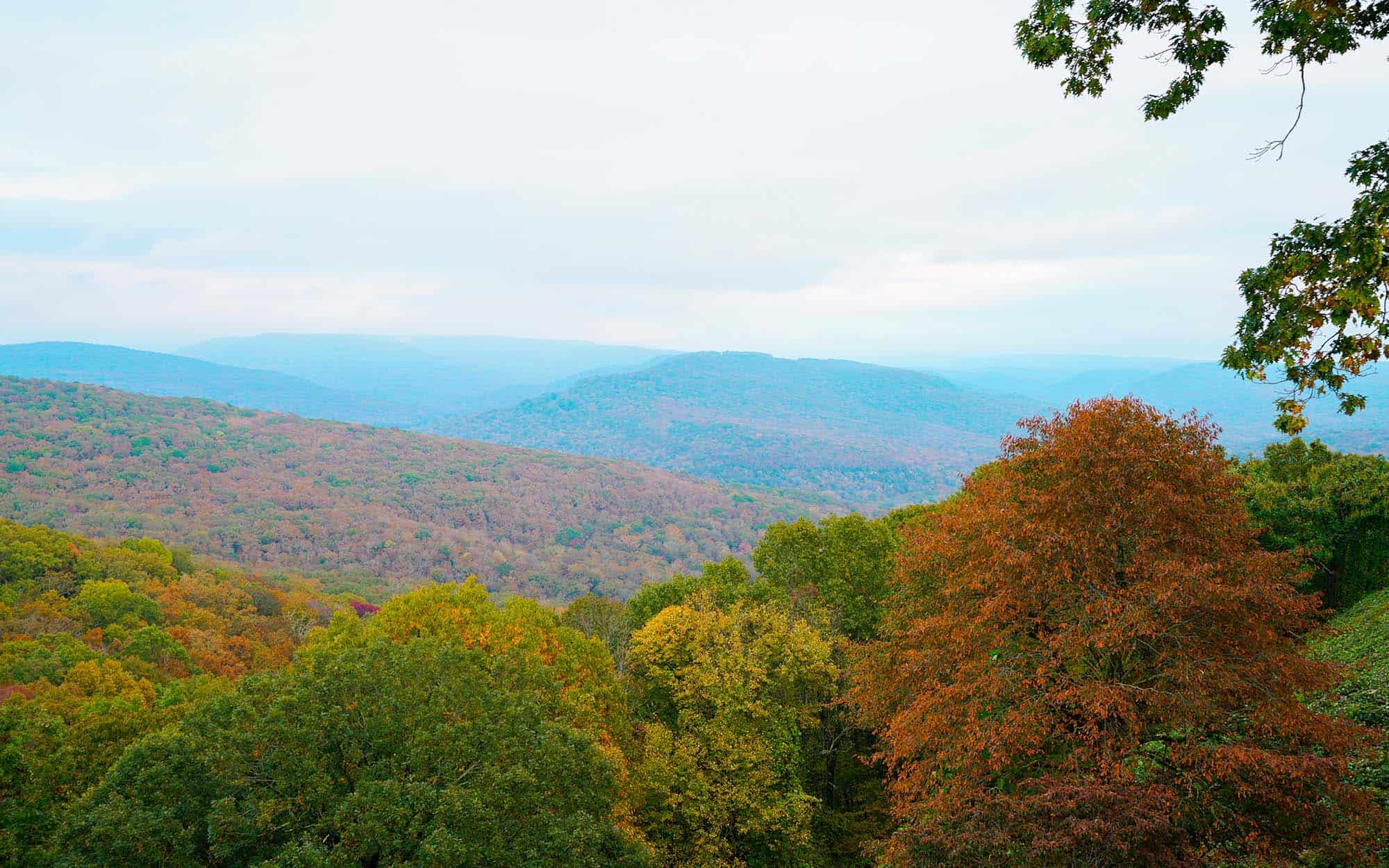 About Us | McGhee Insurance