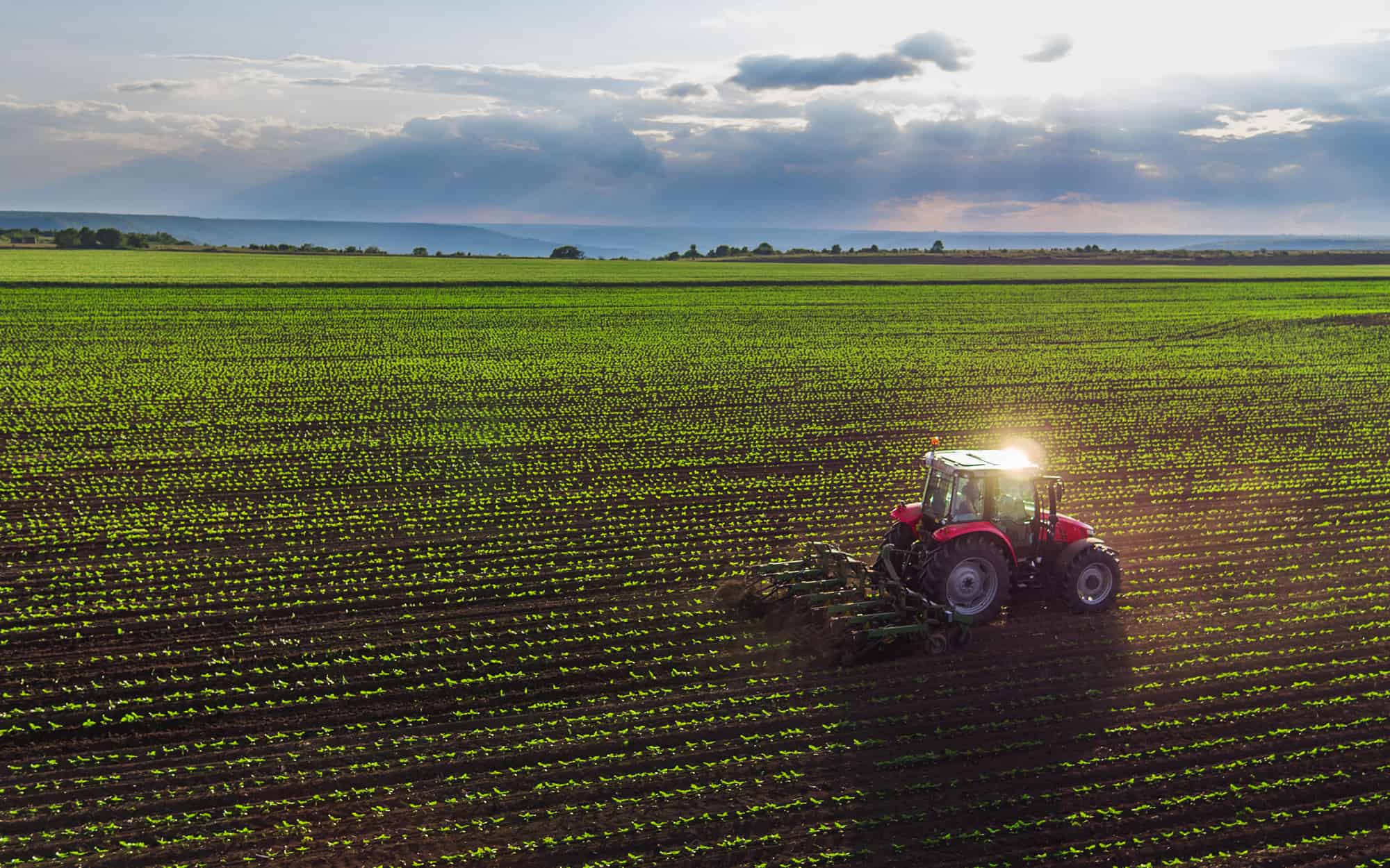 Insurance for Farms | McGhee Insurance